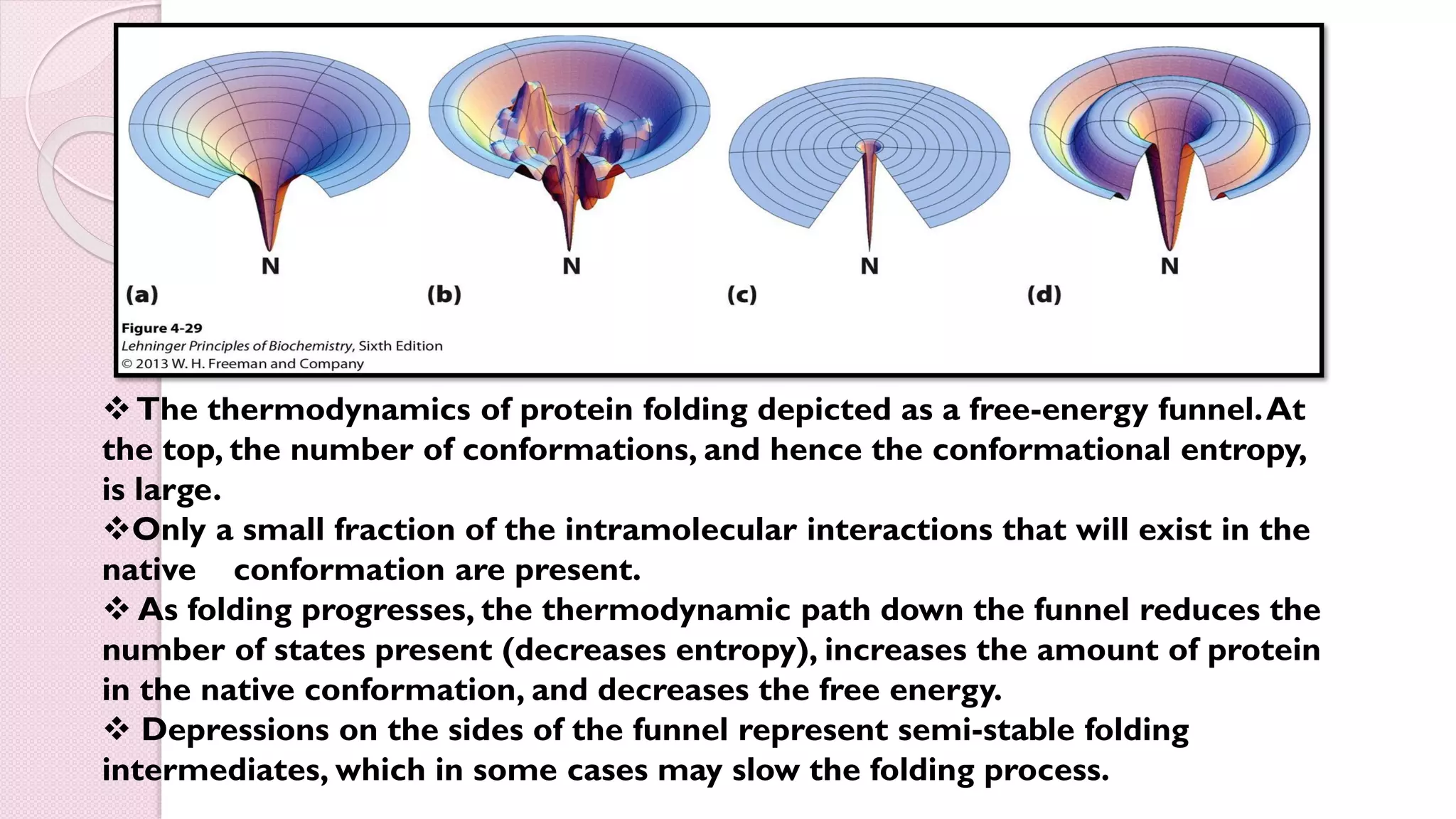 Protein Folding-biophysical and cellular aspects, protein denaturation ...
