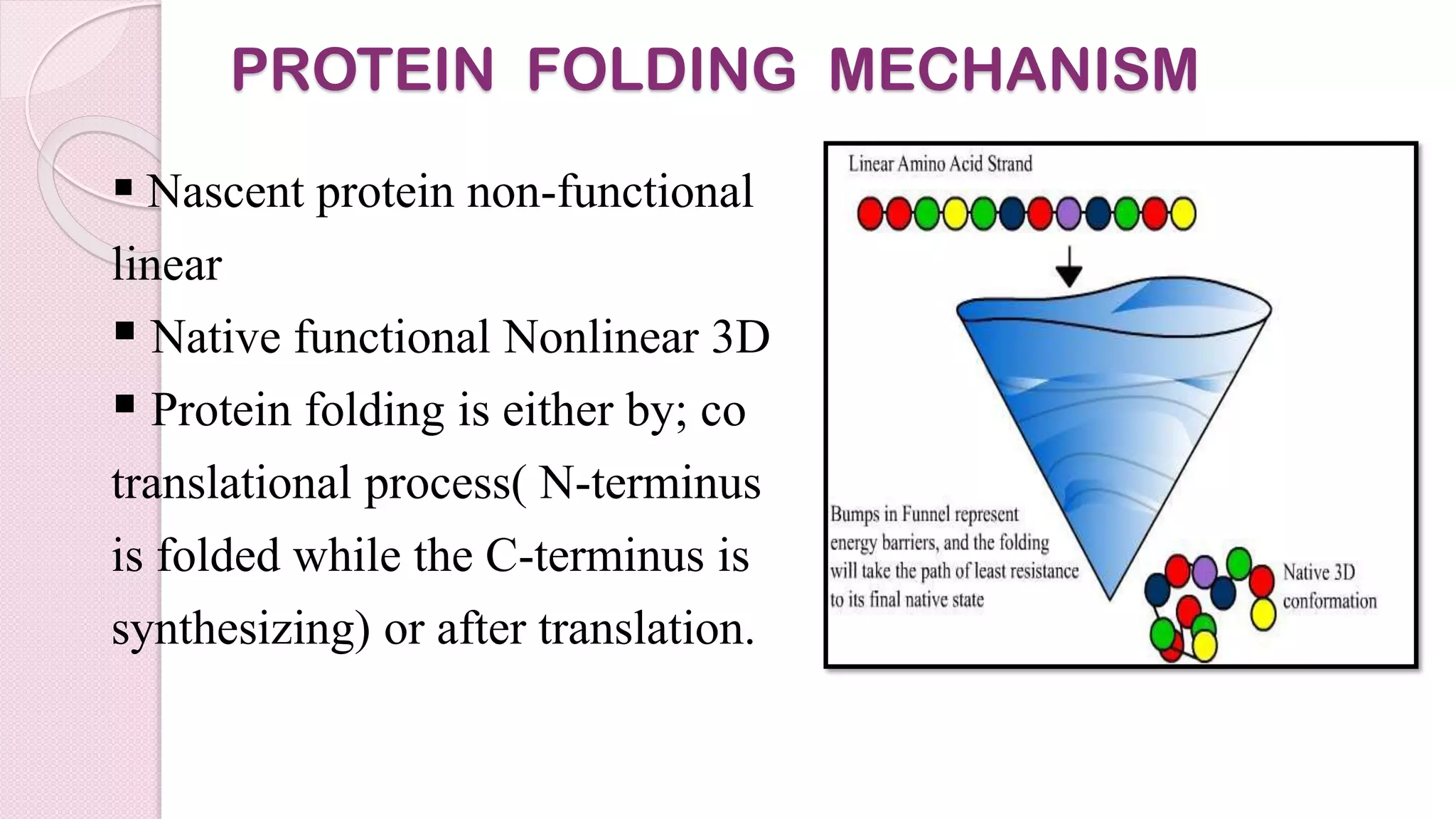 Protein Folding-biophysical and cellular aspects, protein denaturation | PDF