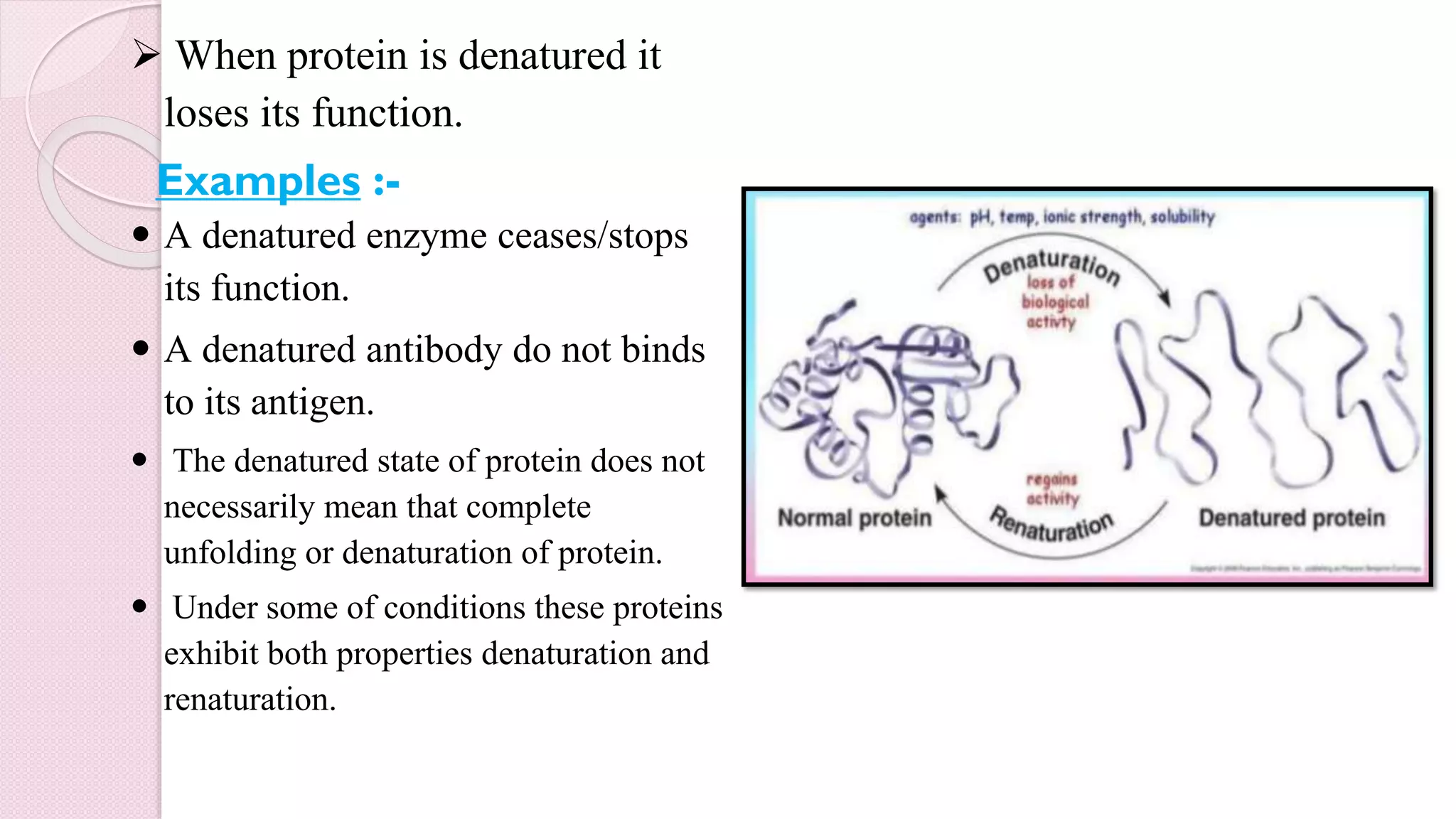 Protein Folding-biophysical and cellular aspects, protein denaturation ...