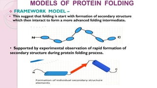 Protein Folding-biophysical and cellular aspects, protein denaturation ...