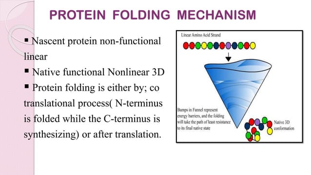 Protein Folding-biophysical and cellular aspects, protein denaturation ...