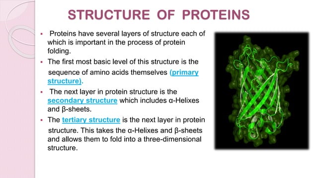 Protein Folding-biophysical and cellular aspects, protein denaturation | PDF | Chemistry | Science