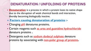 Protein Folding-biophysical and cellular aspects, protein denaturation | PDF