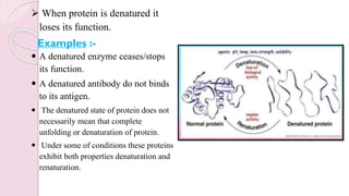 Protein Folding-biophysical and cellular aspects, protein denaturation ...