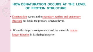 Protein Folding-biophysical and cellular aspects, protein denaturation ...