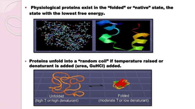 Protein Folding-biophysical and cellular aspects, protein denaturation | PDF | Chemistry | Science