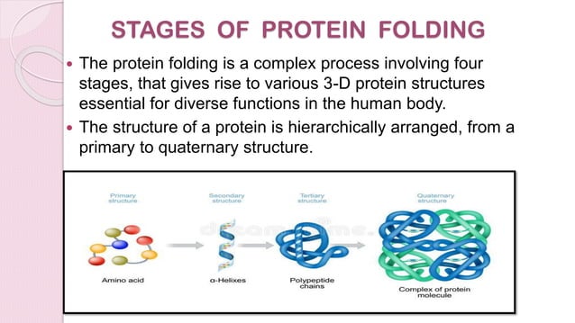 Protein Folding-biophysical and cellular aspects, protein denaturation ...