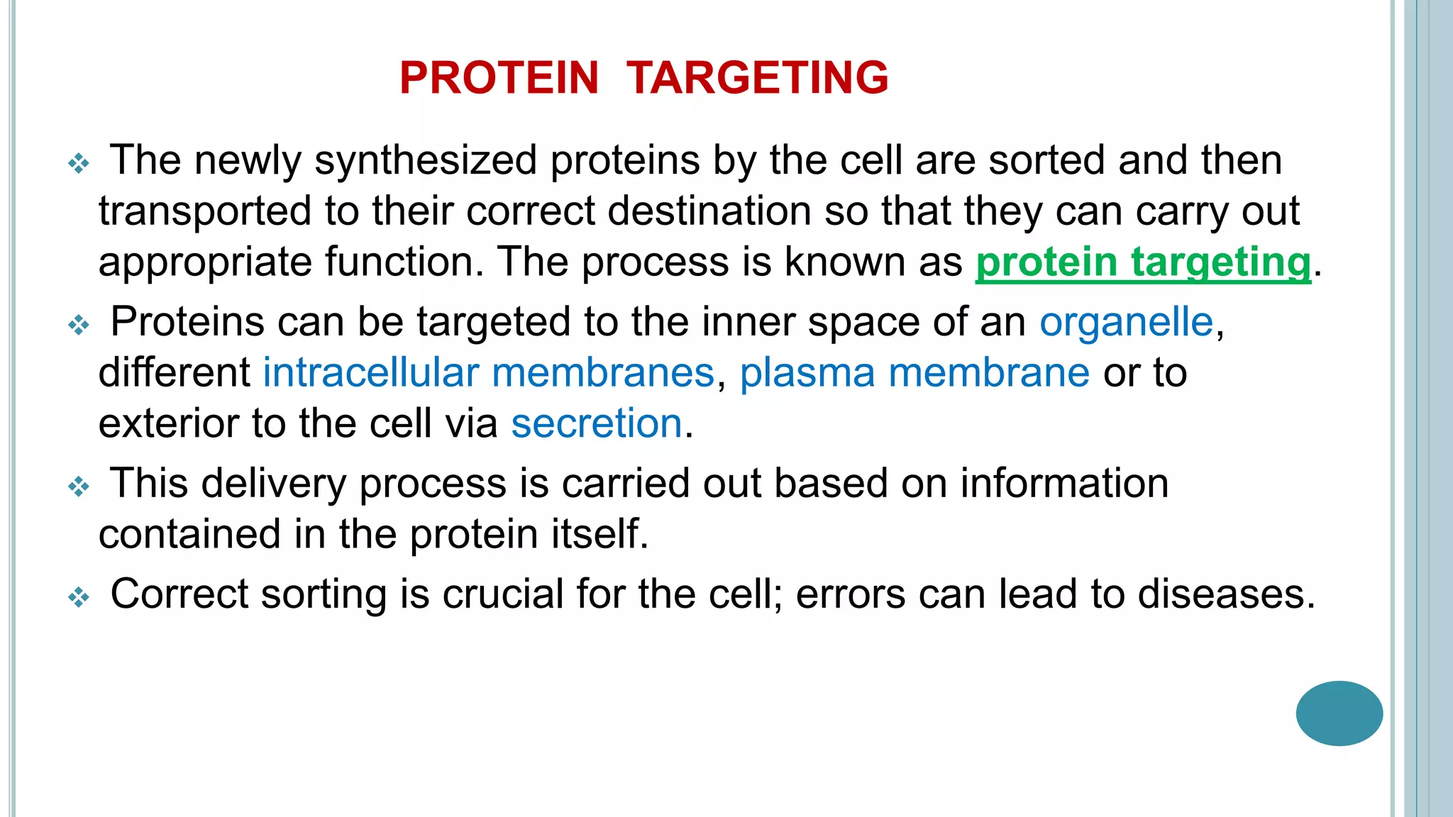 Protein Localization | PPTX