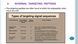 Protein Localization | PPTX