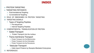 Protein Localization | PPTX