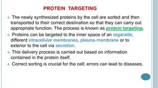 Protein Localization | PPTX