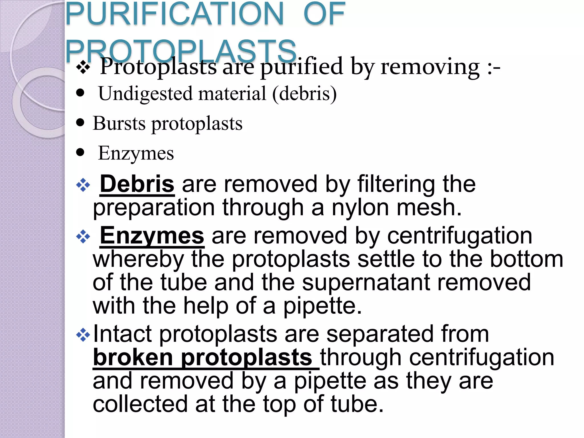 Protoplast isolation,culture & fusion | PPTX