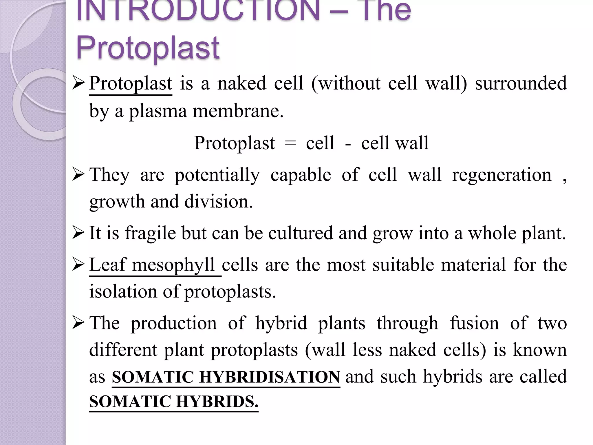 Protoplast isolation,culture & fusion | PPTX