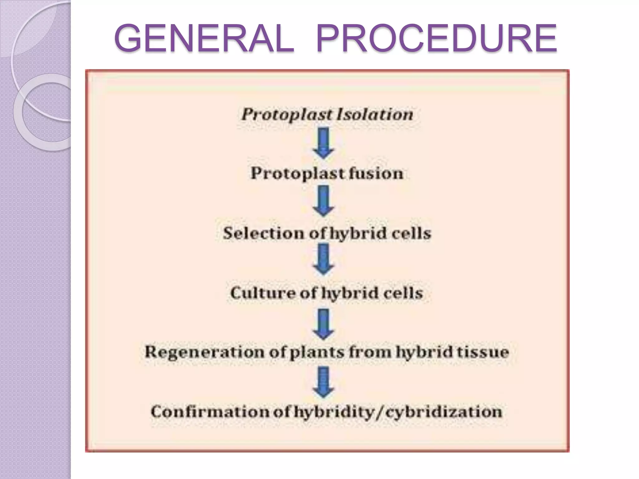 Protoplast isolation,culture & fusion | PPTX