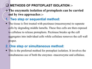 Protoplast isolation,culture & fusion | PPTX