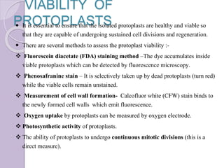 Protoplast isolation,culture & fusion | PPTX