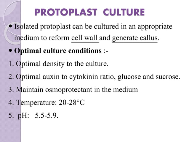 Protoplast isolation,culture & fusion | PPTX | Biological Sciences ...