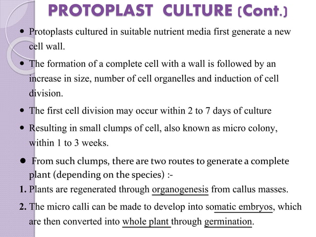 Protoplast isolation,culture & fusion | PPTX | Biological Sciences ...