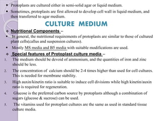 Protoplast isolation,culture & fusion | PPTX