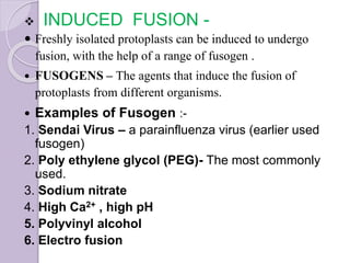 Protoplast isolation,culture & fusion | PPTX