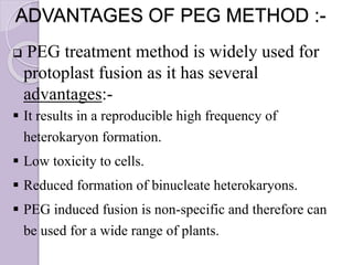 Protoplast isolation,culture & fusion | PPTX