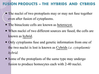 Protoplast isolation,culture & fusion | PPTX