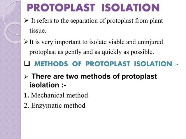 Protoplast isolation,culture & fusion | PPTX | Biological Sciences ...