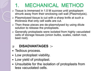 Protoplast isolation,culture & fusion | PPTX