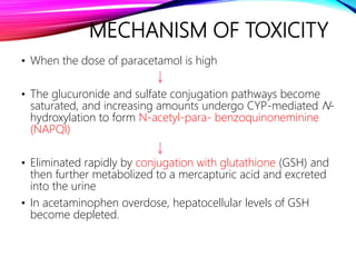 anishparacetamolpoisoning-18060bgg7164459.pdf