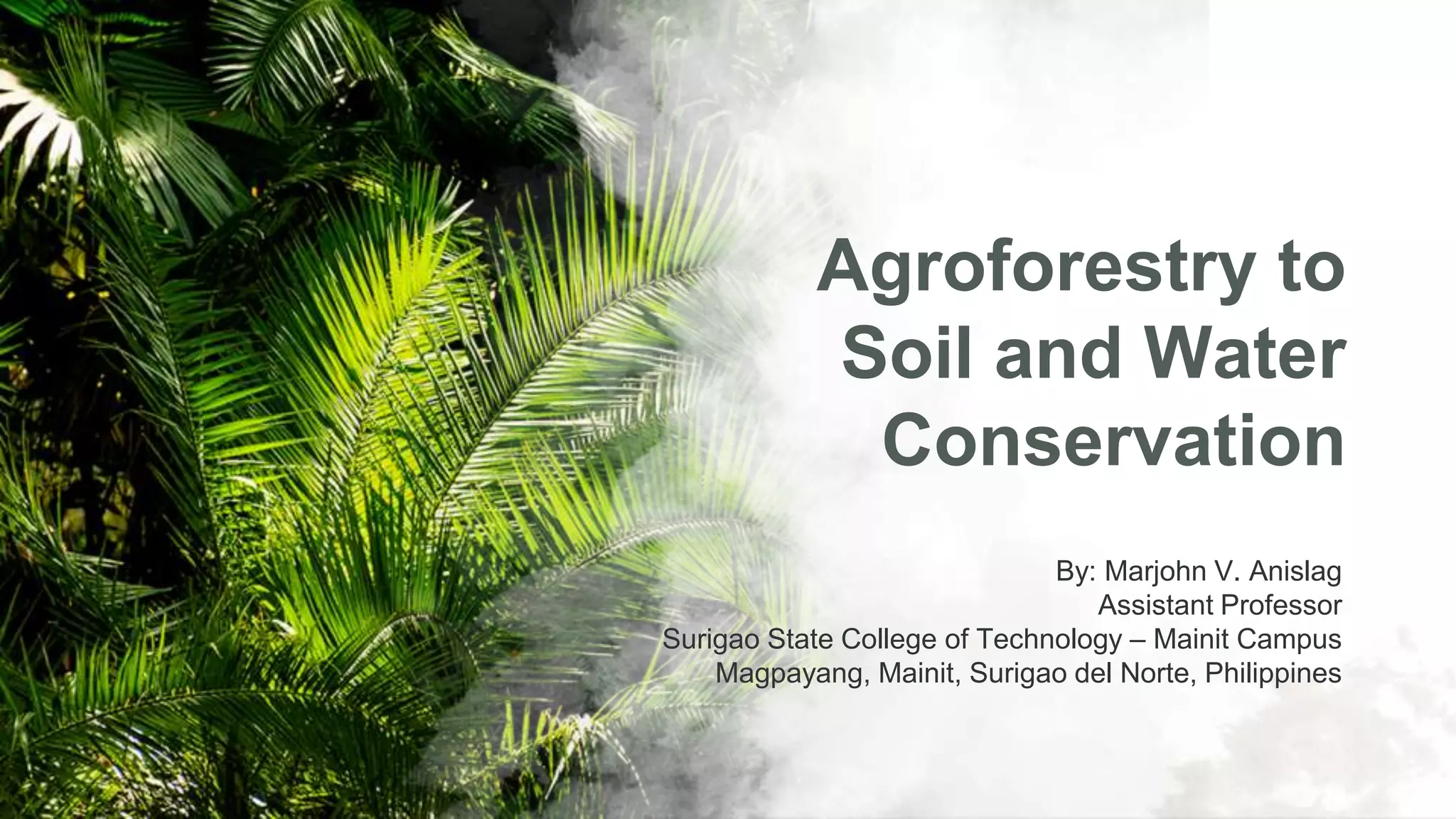Agroforestry to Soil and Water Conservation | PPTX