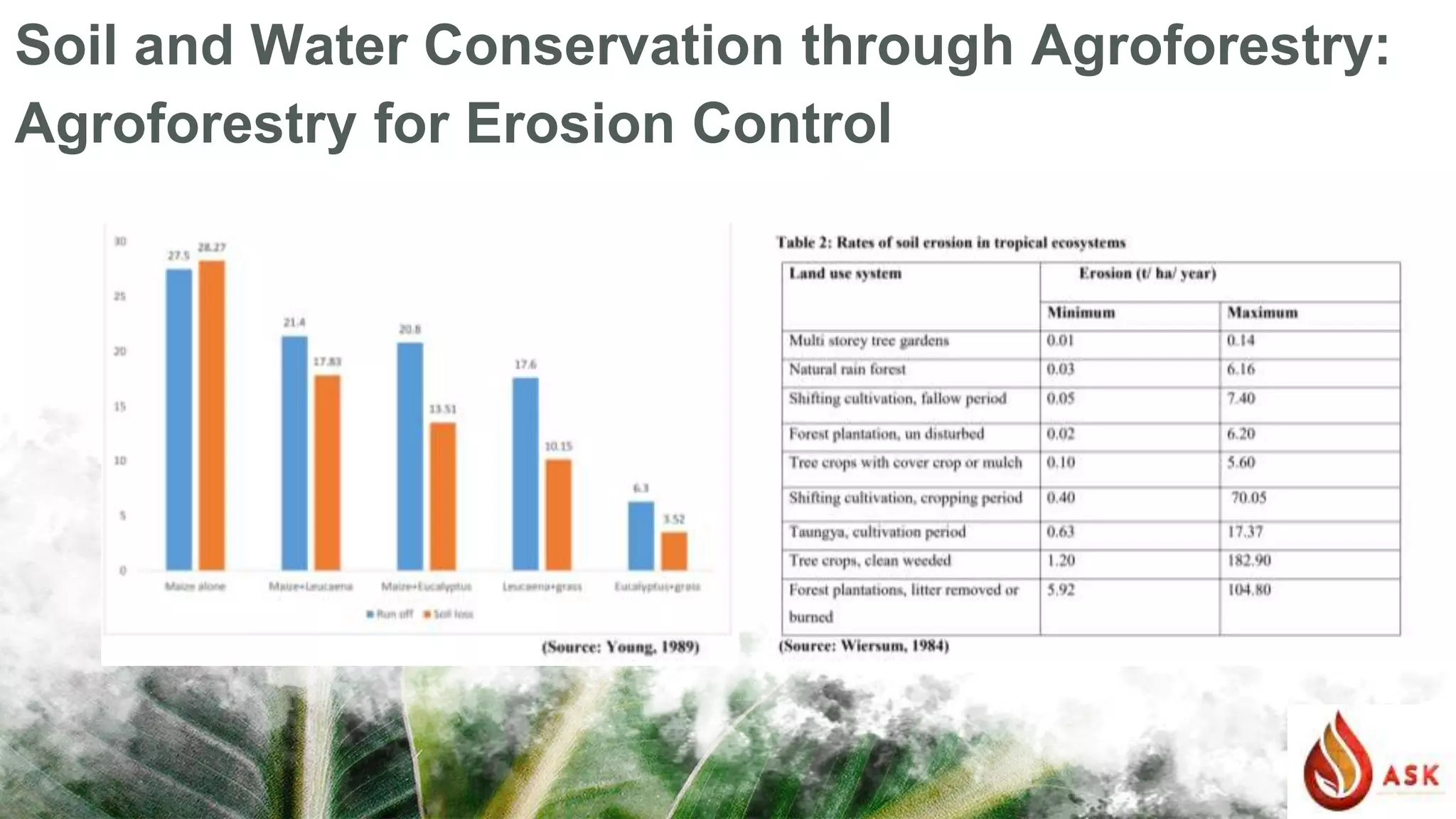 Agroforestry to Soil and Water Conservation | PPTX
