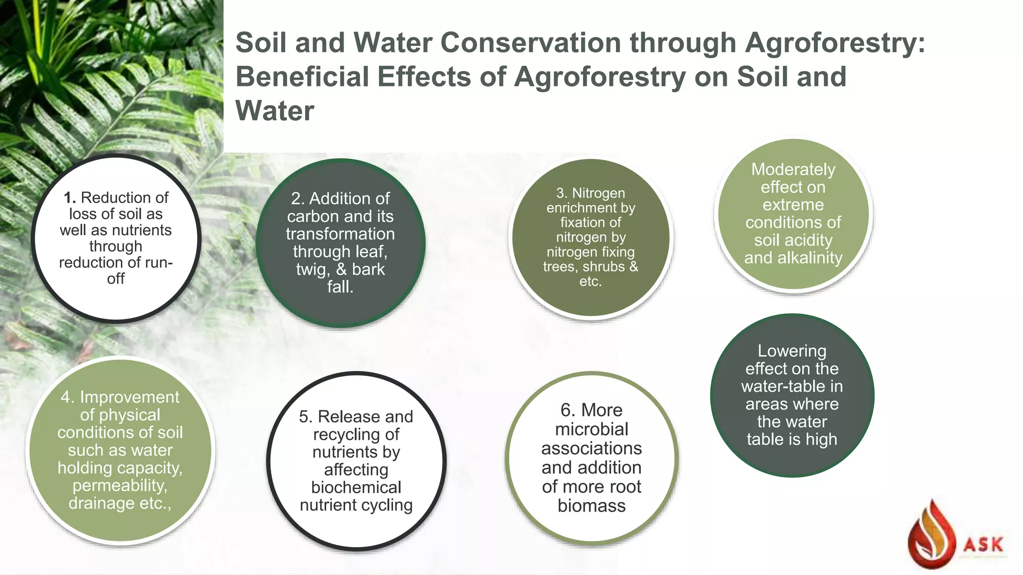 Agroforestry to Soil and Water Conservation | PPTX