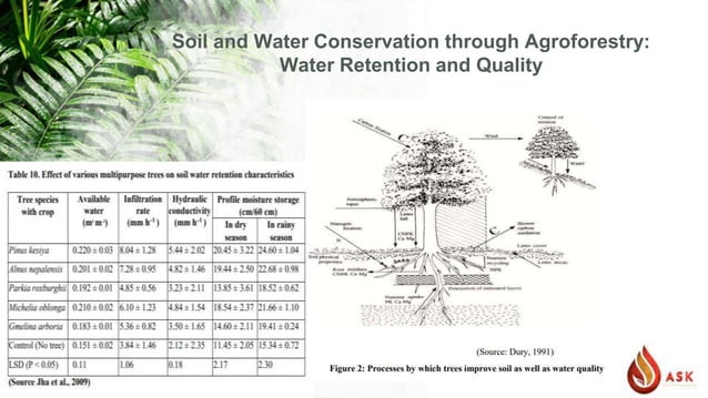 Agroforestry to Soil and Water Conservation | PPTX | Agriculture ...