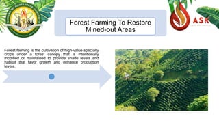 Agroforestry to Mining Restoration | PPTX