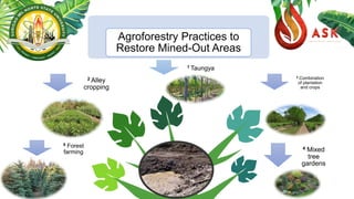 Agroforestry to Mining Restoration | PPTX