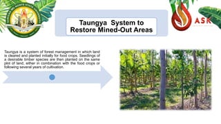 Agroforestry to Mining Restoration | PPTX