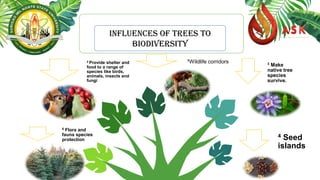 "Influence of Trees to Biodiversity" | PDF