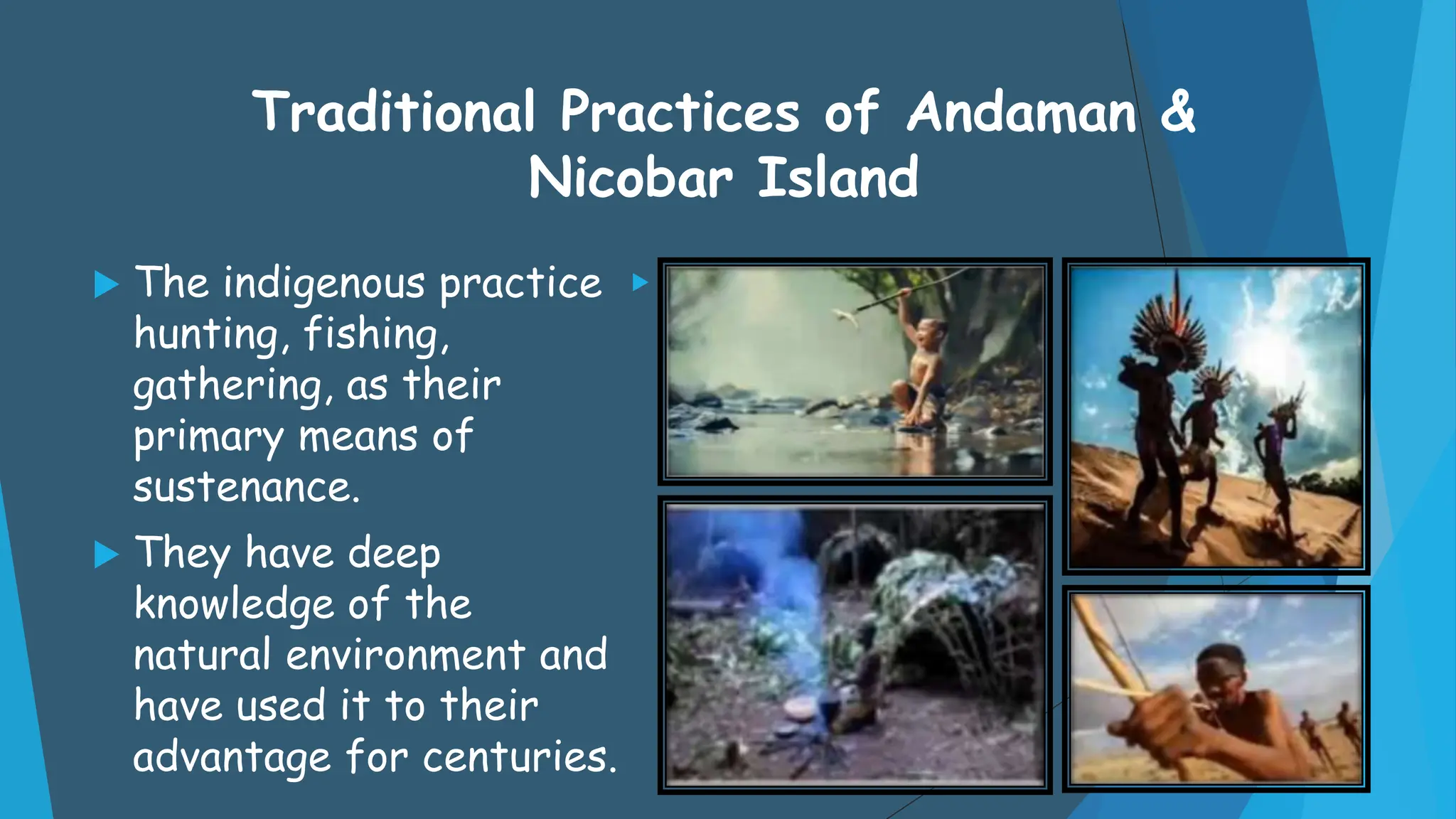 Culture & Heritage-The culture of the Andaman is rich and diverse | PPTX