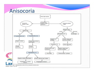 Anisocoria (unequal pupil size) pupil pathway disorder | PDF
