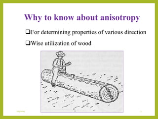 Anisotropic nature of wood | PPTX