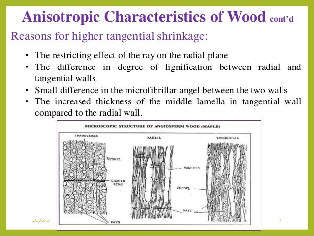 Anisotropic nature of wood