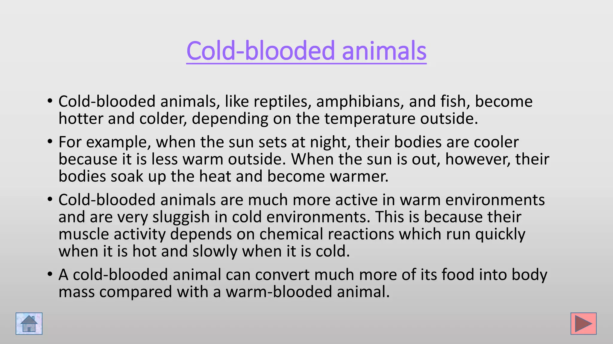 Warm-blooded and Cold-blooded Animals | PPTX