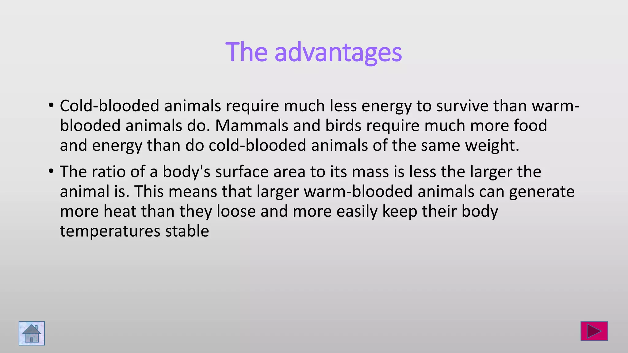 Warm-blooded and Cold-blooded Animals | PPTX