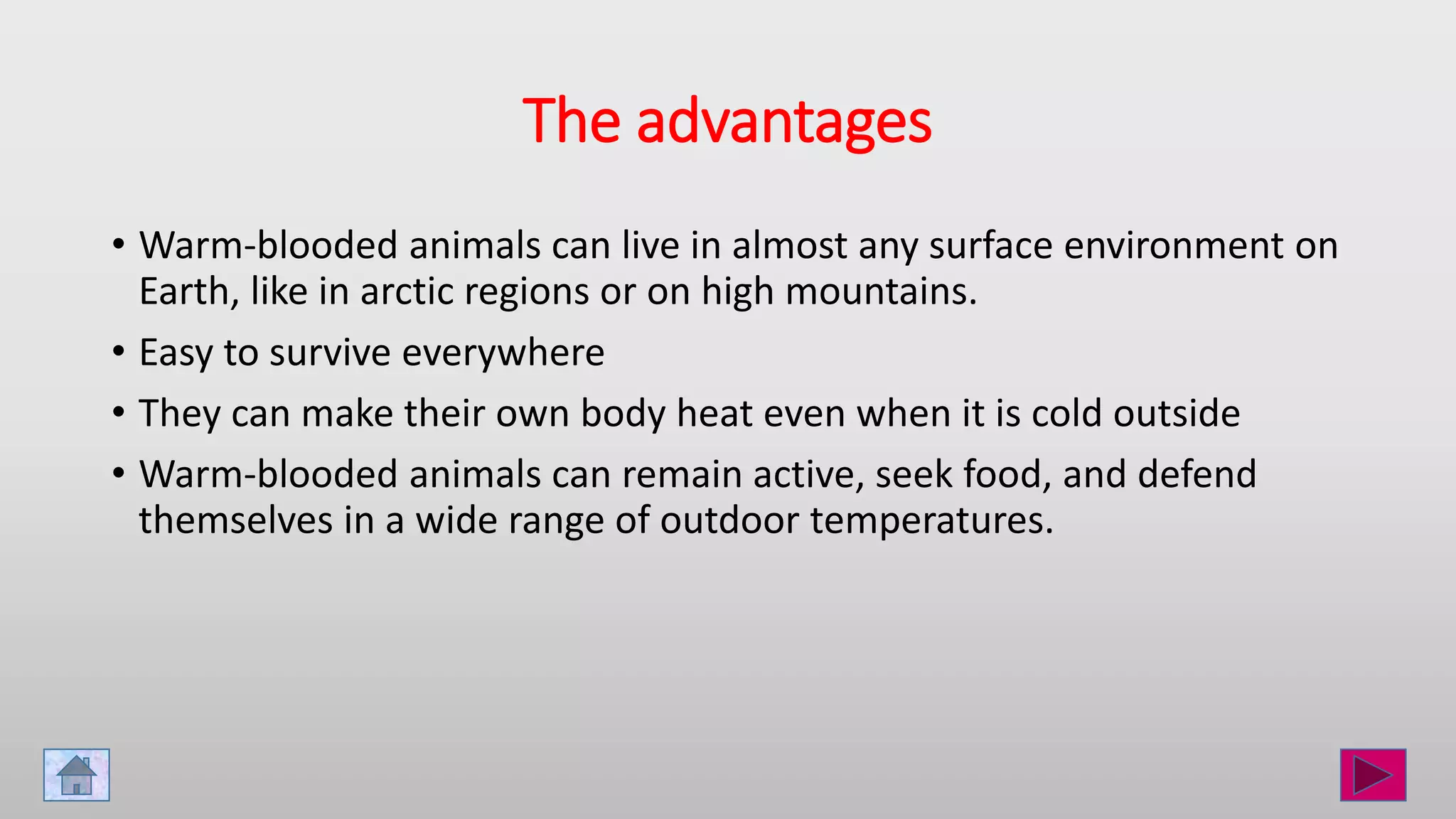 Warm-blooded and Cold-blooded Animals | PPTX