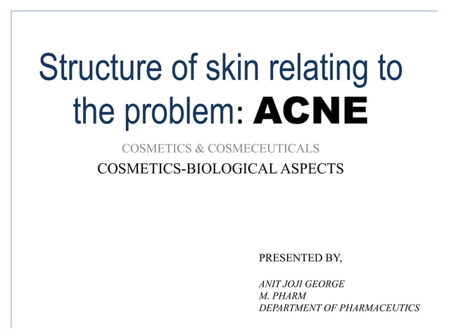 Structure of skin relating to the problem ACNE | PPTX