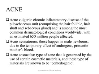 Structure of skin relating to the problem ACNE | PPTX