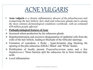 Structure of skin relating to the problem ACNE | PPTX