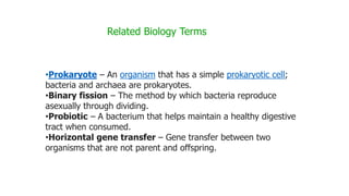 BACTERIA/EUBACTERIA (Microbiology) | PPT