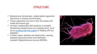 BACTERIA/EUBACTERIA (Microbiology) | PPT