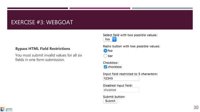 Introduction to Web Application Penetration Testing | PPTX | Web ...
